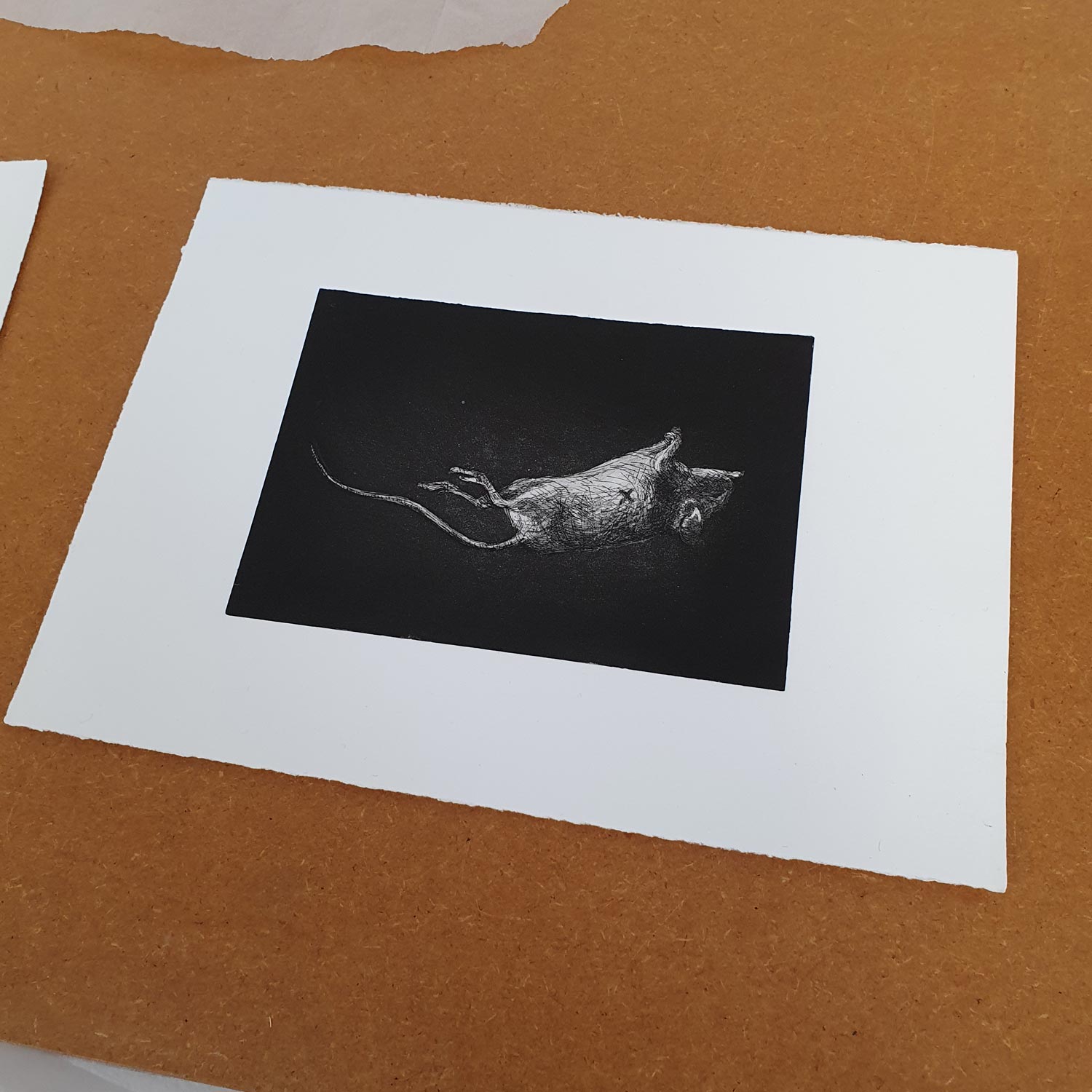 'Mortus' Aquatint Etching Print by Fiona Hamilton - Soma Gallery