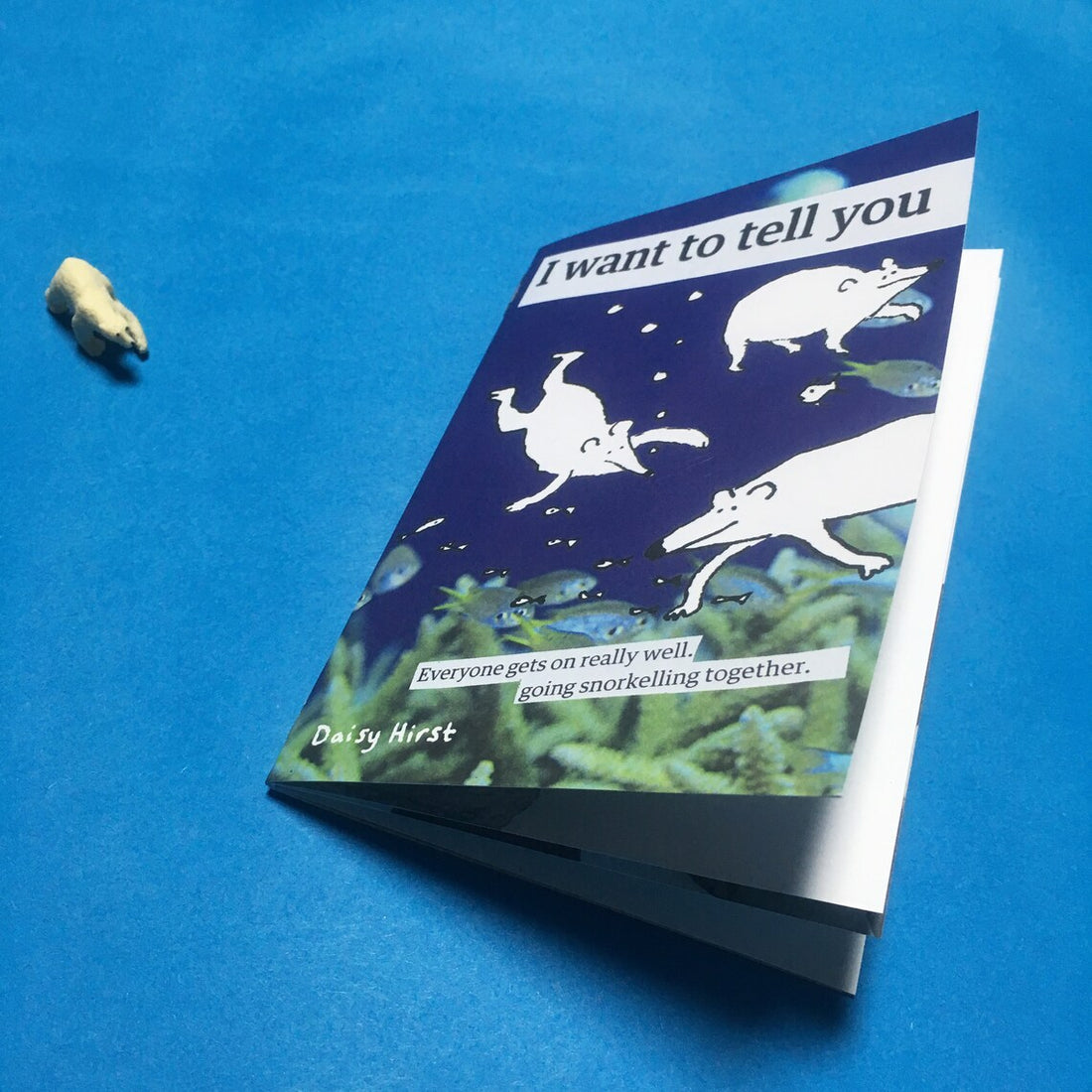 I Want to Tell You Zine by Daisy Hirst - Soma Gallery