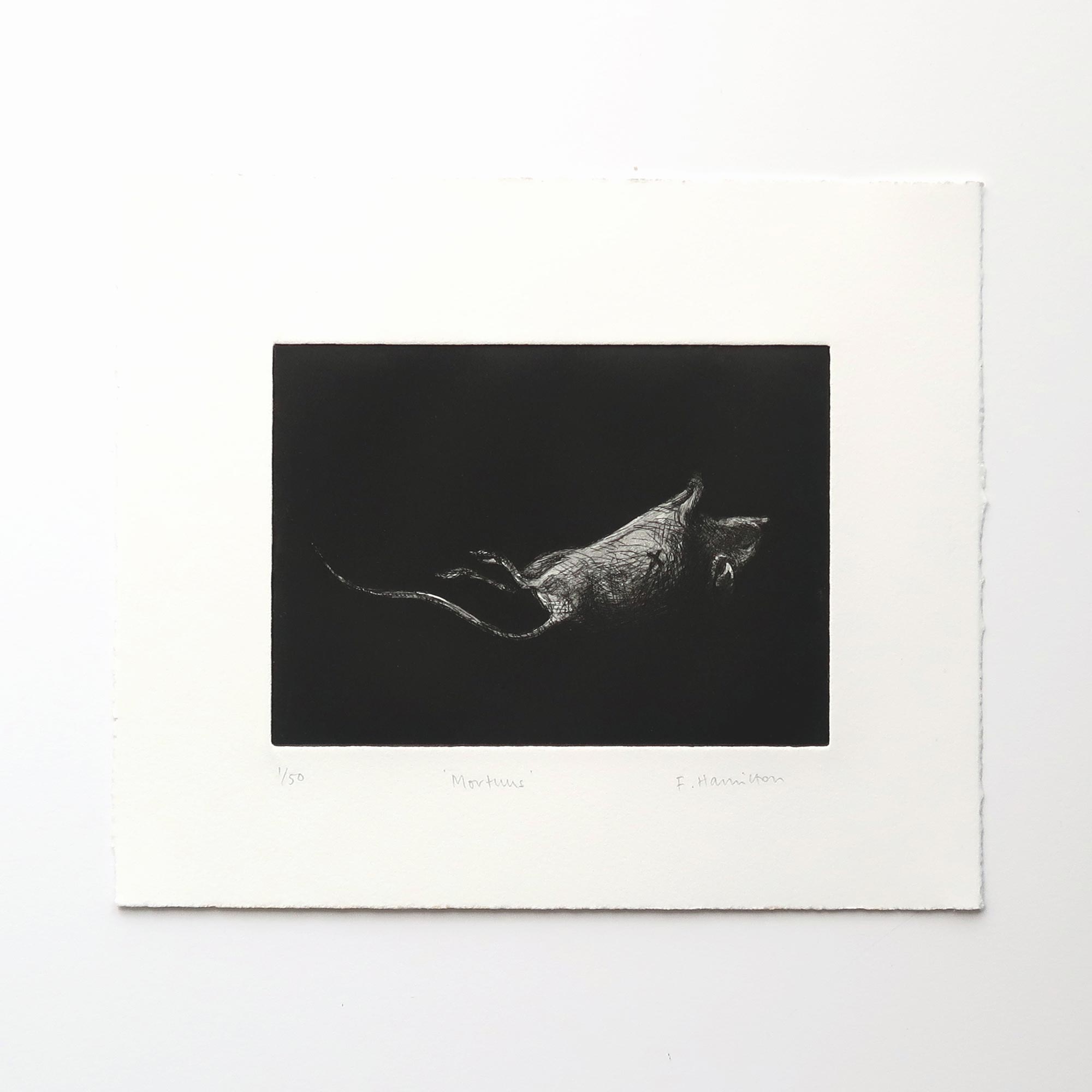 'Mortus' Aquatint Etching Print by Fiona Hamilton - Soma Gallery