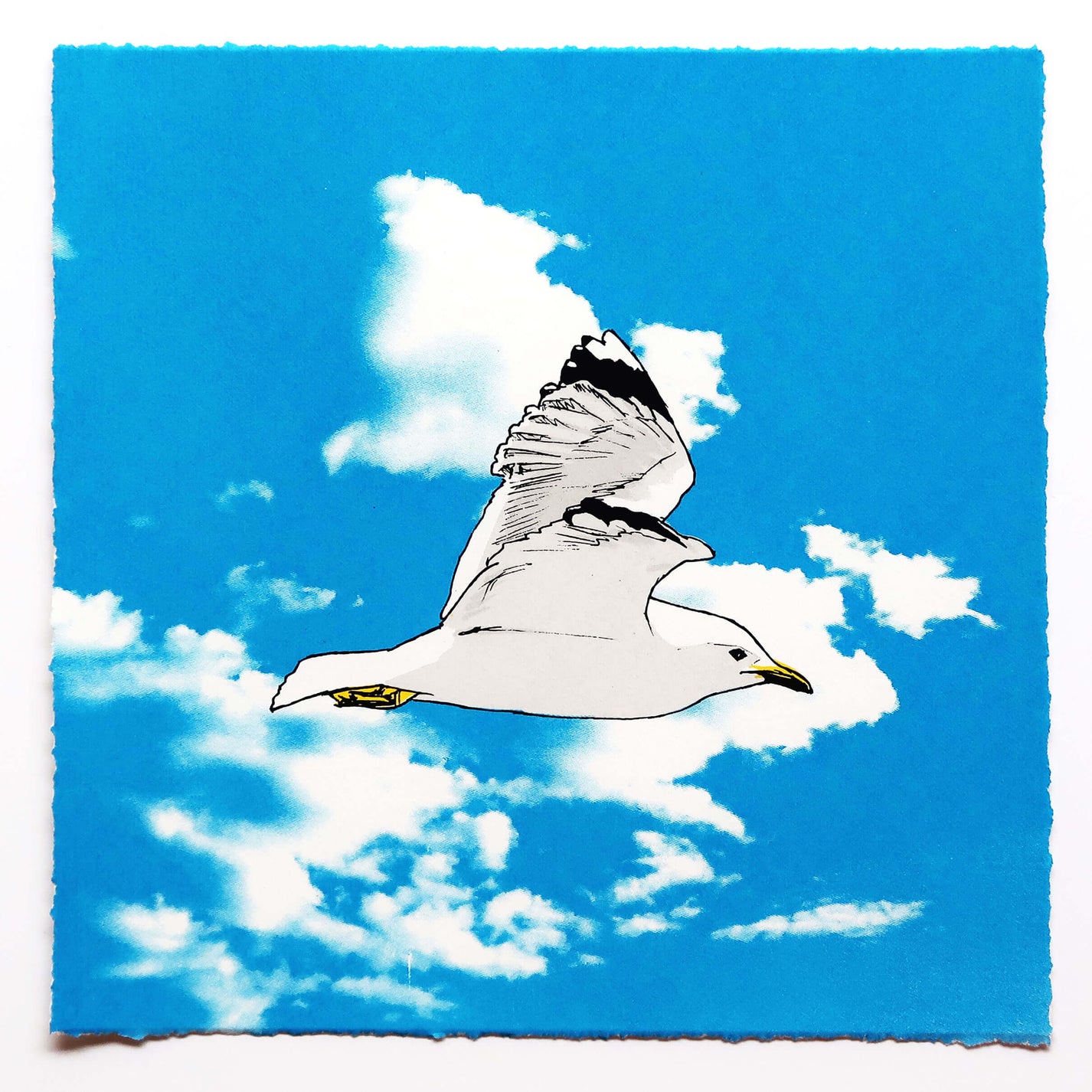 'Seagull in Flight' screen print by Fiona Hamilton - Soma Gallery